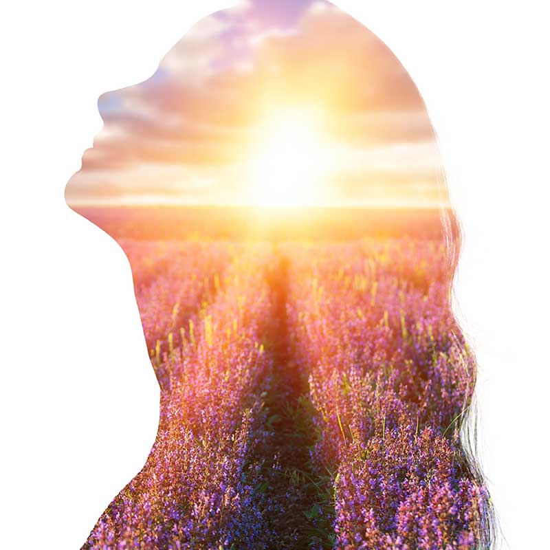 Coaching Consultation - Dr. Steve Gough